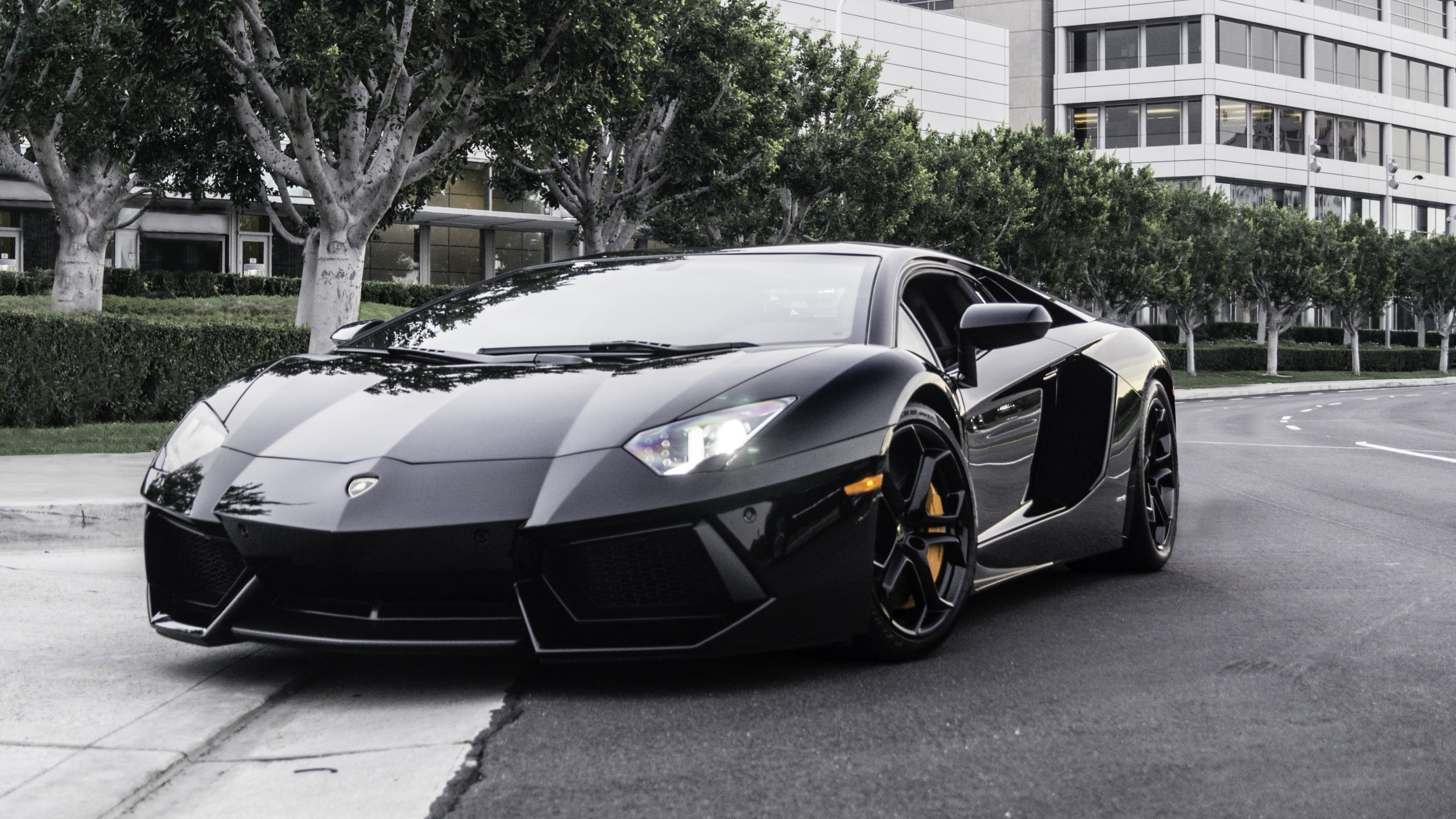 Lamborghini Aventador Matte Black Wallpaper Hd