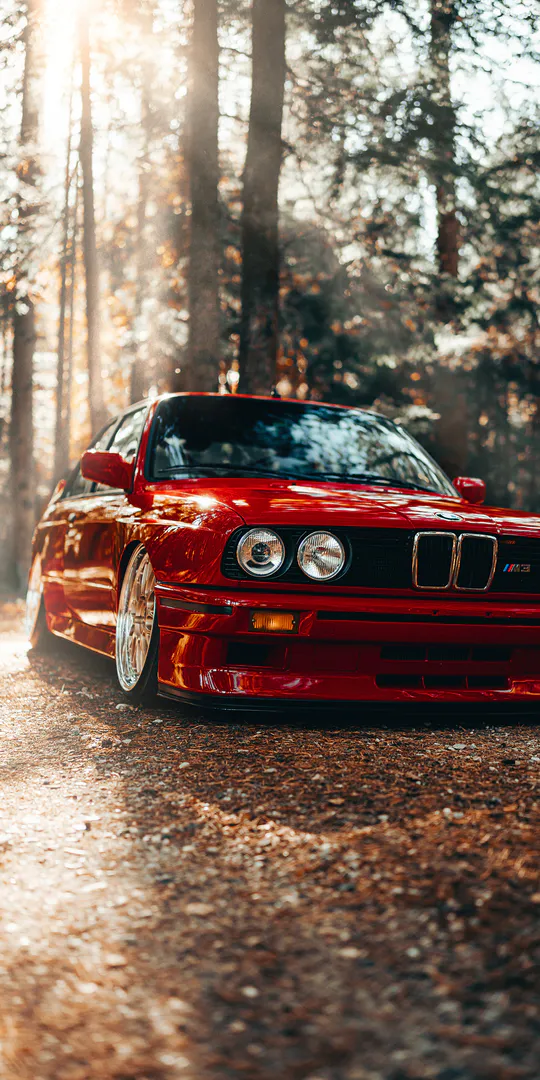 M3 E30, BMW, M3, E30 (1080x2400) - Desktop & Mobile Wallpaper
